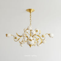 Chandeliers - Amanda Lighting